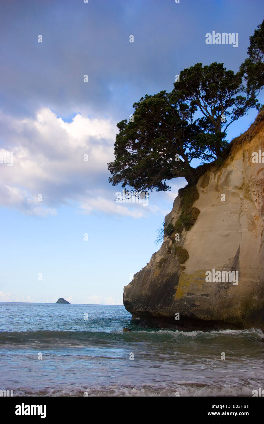Cathedral Cove Coromandel Peninsula New Zealand Stock Photo - Alamy