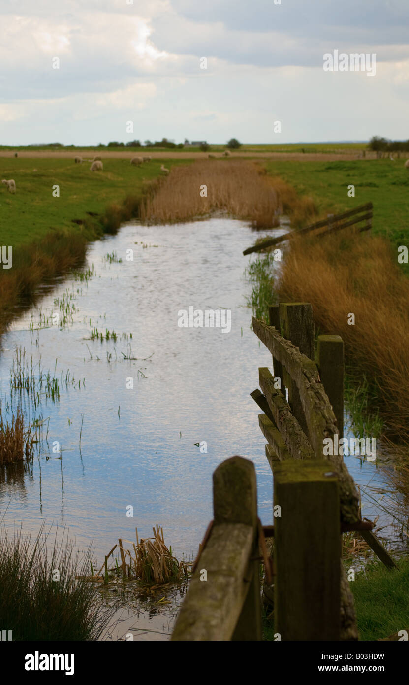 Open ditch hi-res stock photography and images - Alamy