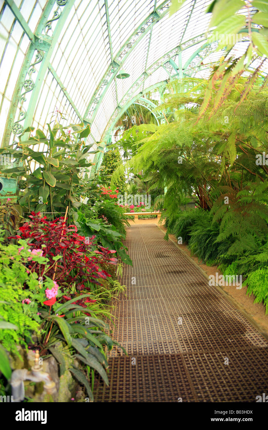 interior of Wintergarden, The Royal Glasshouses, Laeken, Brussels ...