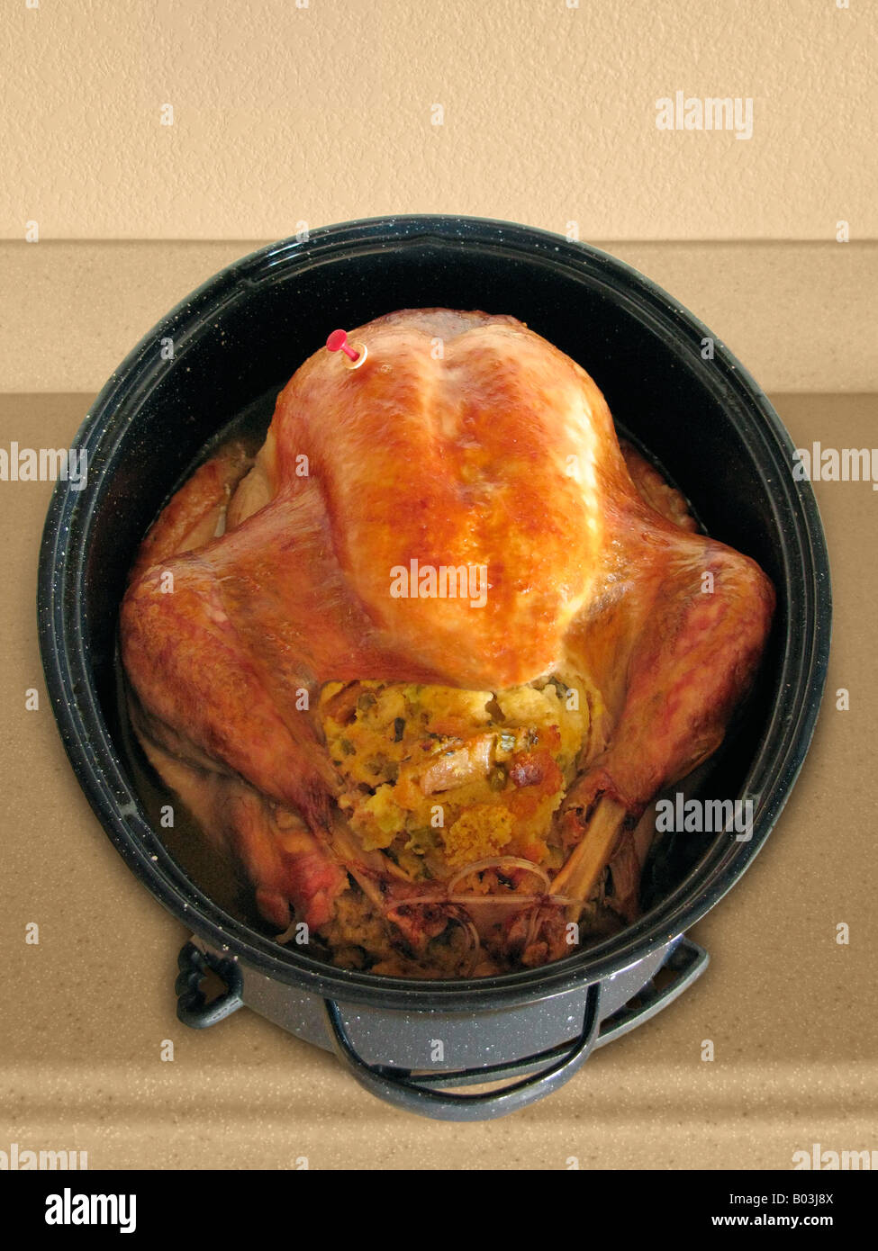 Thanksgiving turkey in roasting pan hi-res stock photography and images ...