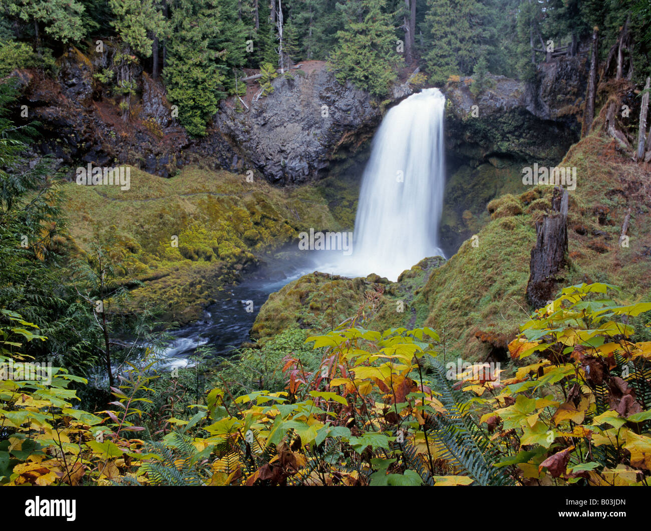 Shahalie waterfall on mckenzie river hi-res stock photography and ...