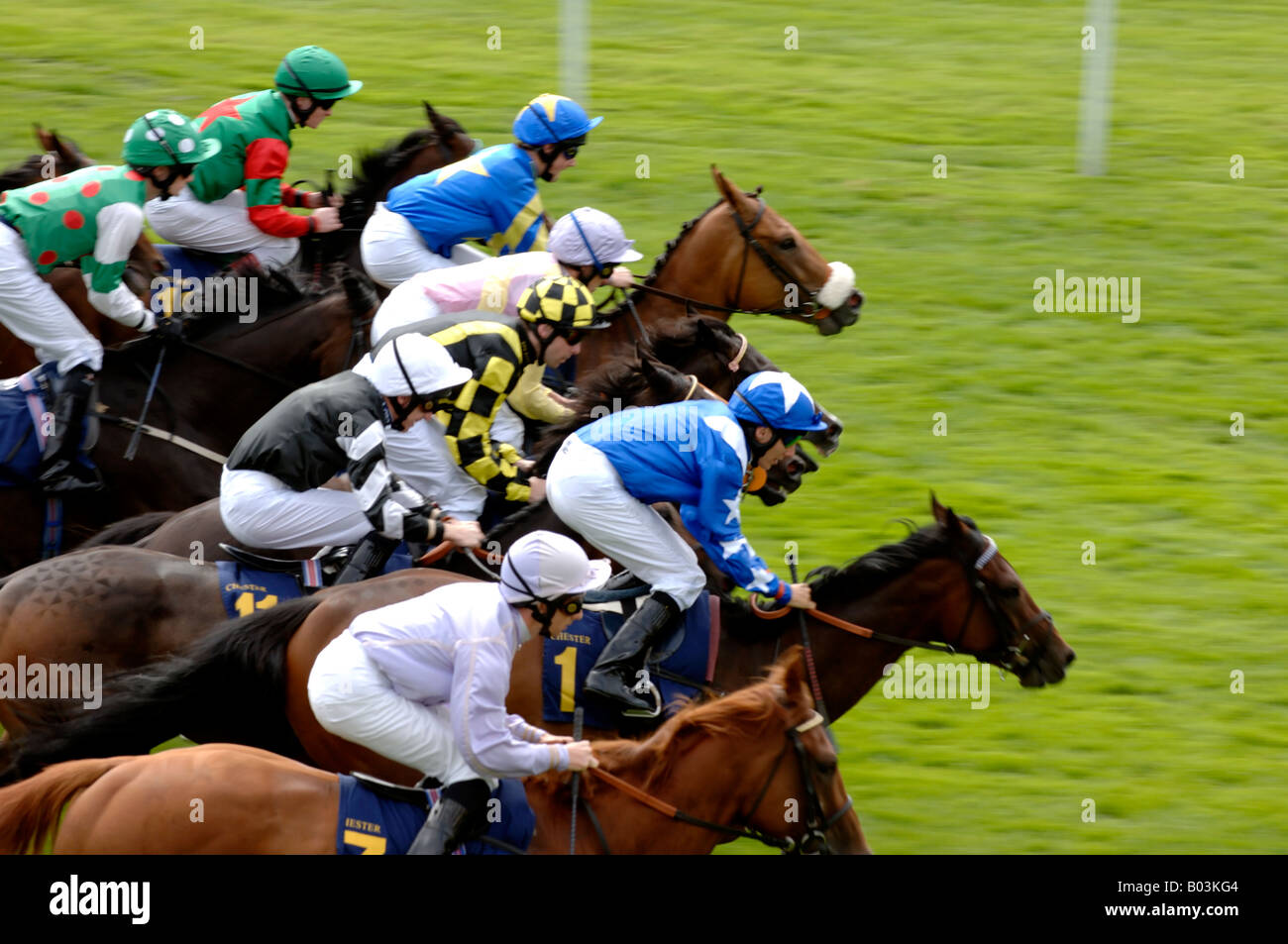 Chester races england uk hi-res stock photography and images - Alamy