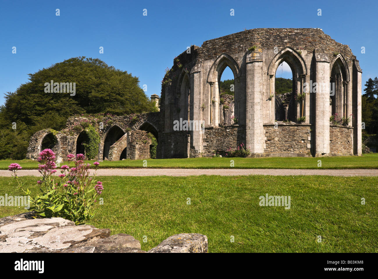 Margam abbey, wales hi-res stock photography and images - Alamy