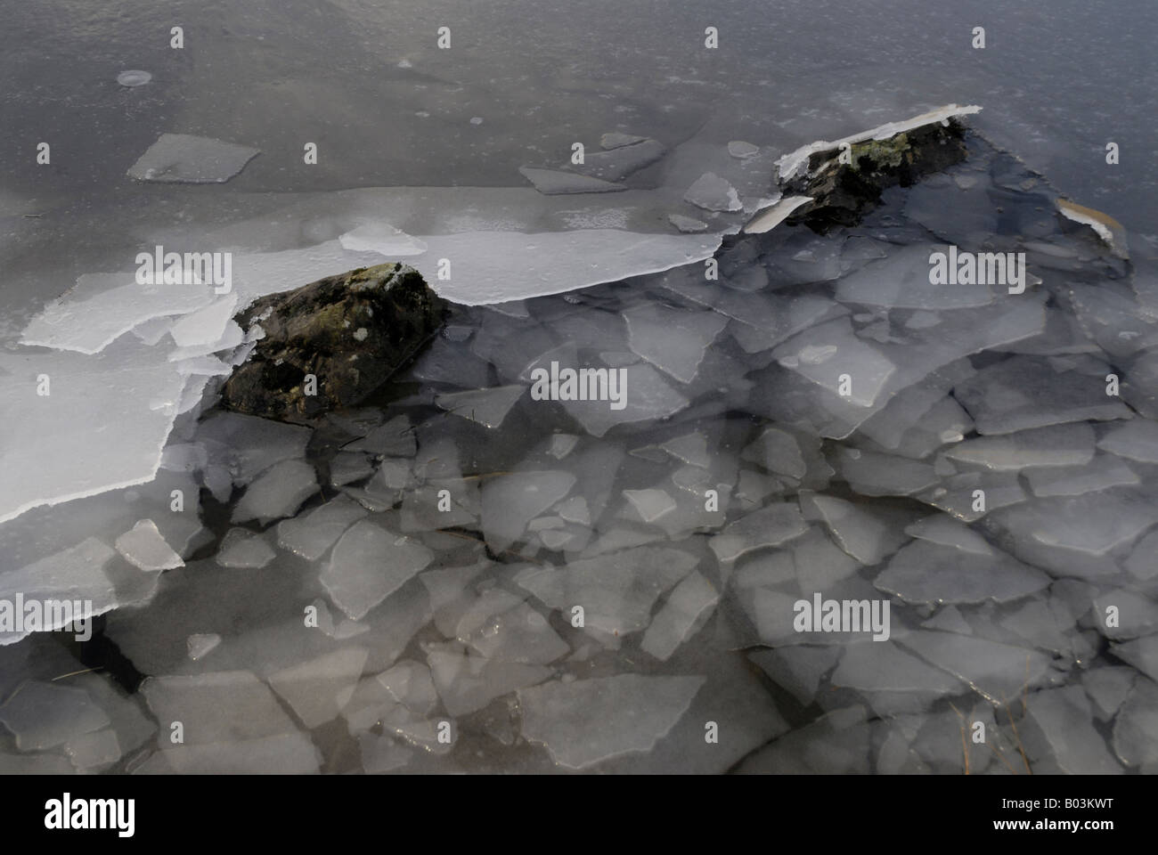 Broken Winter ice on pond North Wales UK Stock Photo - Alamy