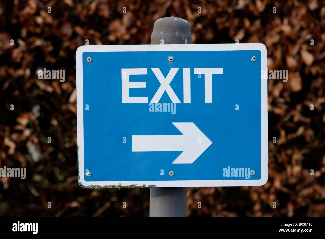 Exit sign close up Stock Photo - Alamy