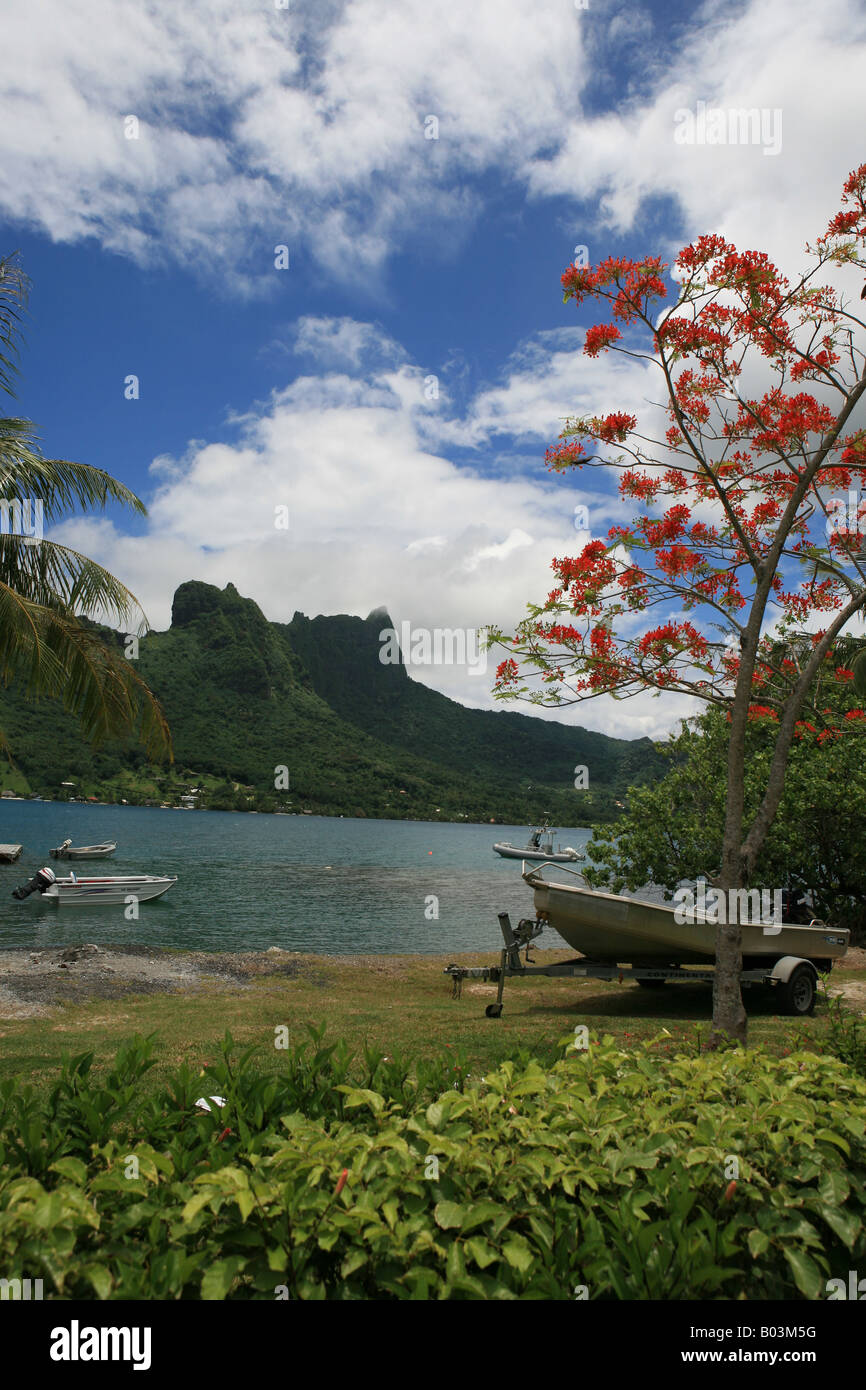 Captain cook tahiti hi-res stock photography and images - Alamy