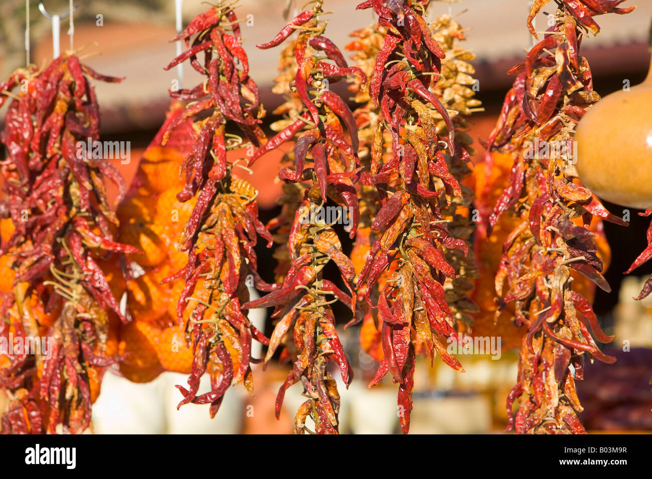 Peppers hanging hi-res stock photography and images - Alamy