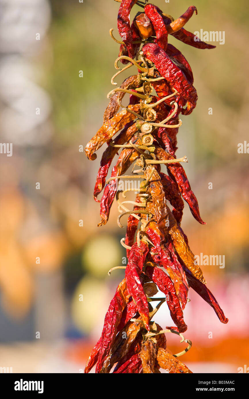Dried chilly peppers hanging outside a store along the road to the town ...