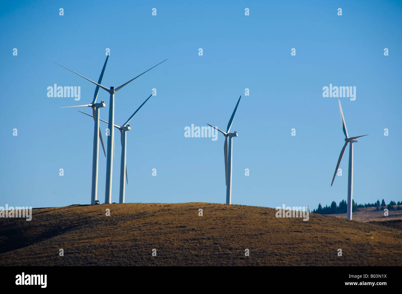 Wind turbines in the desert Stock Photo - Alamy