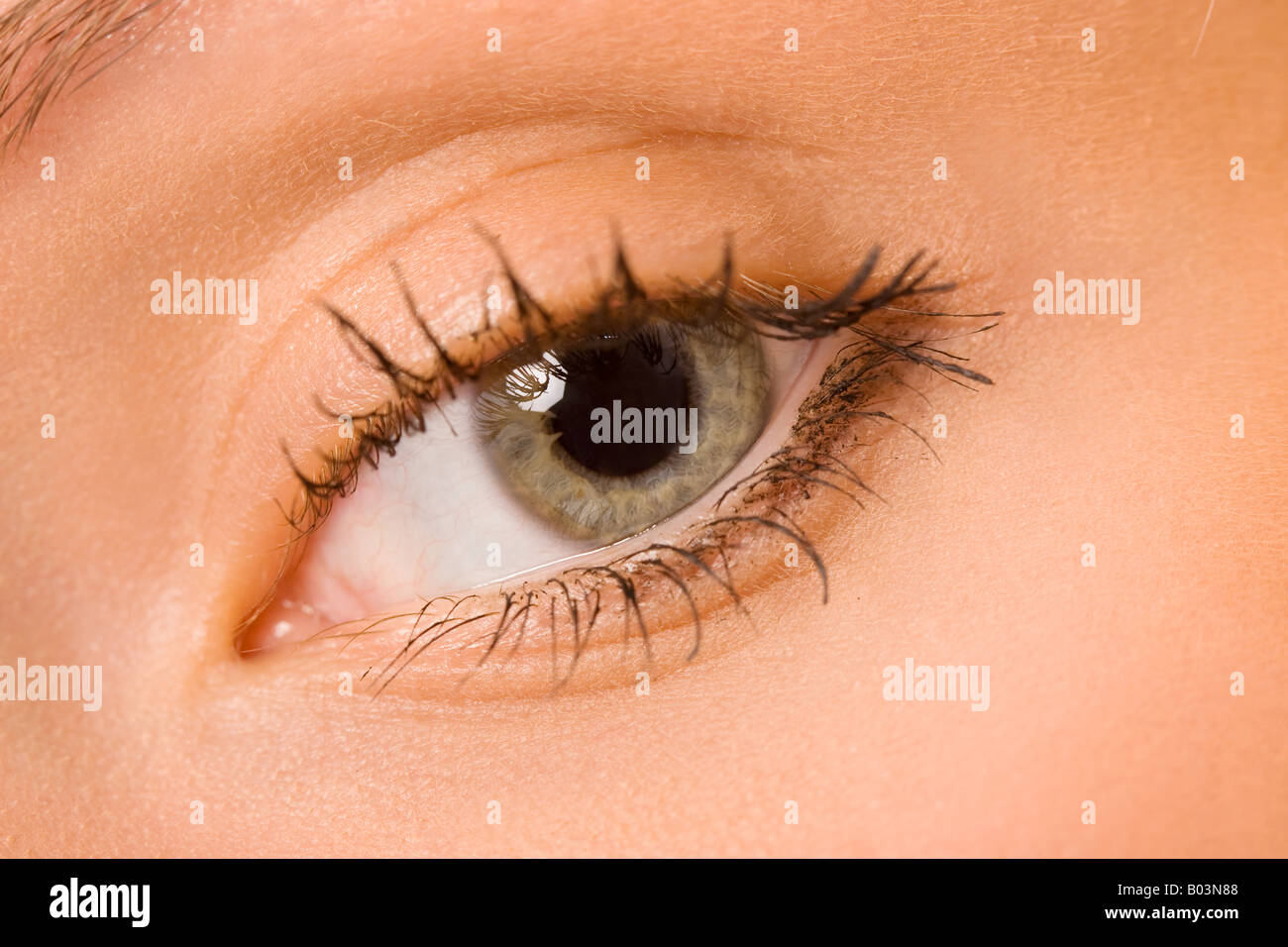 female wide open eye with long eyelashes macro Stock Photo - Alamy