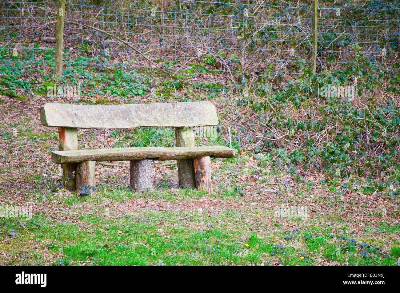 A wooden bench in the woods Stock Photo - Alamy