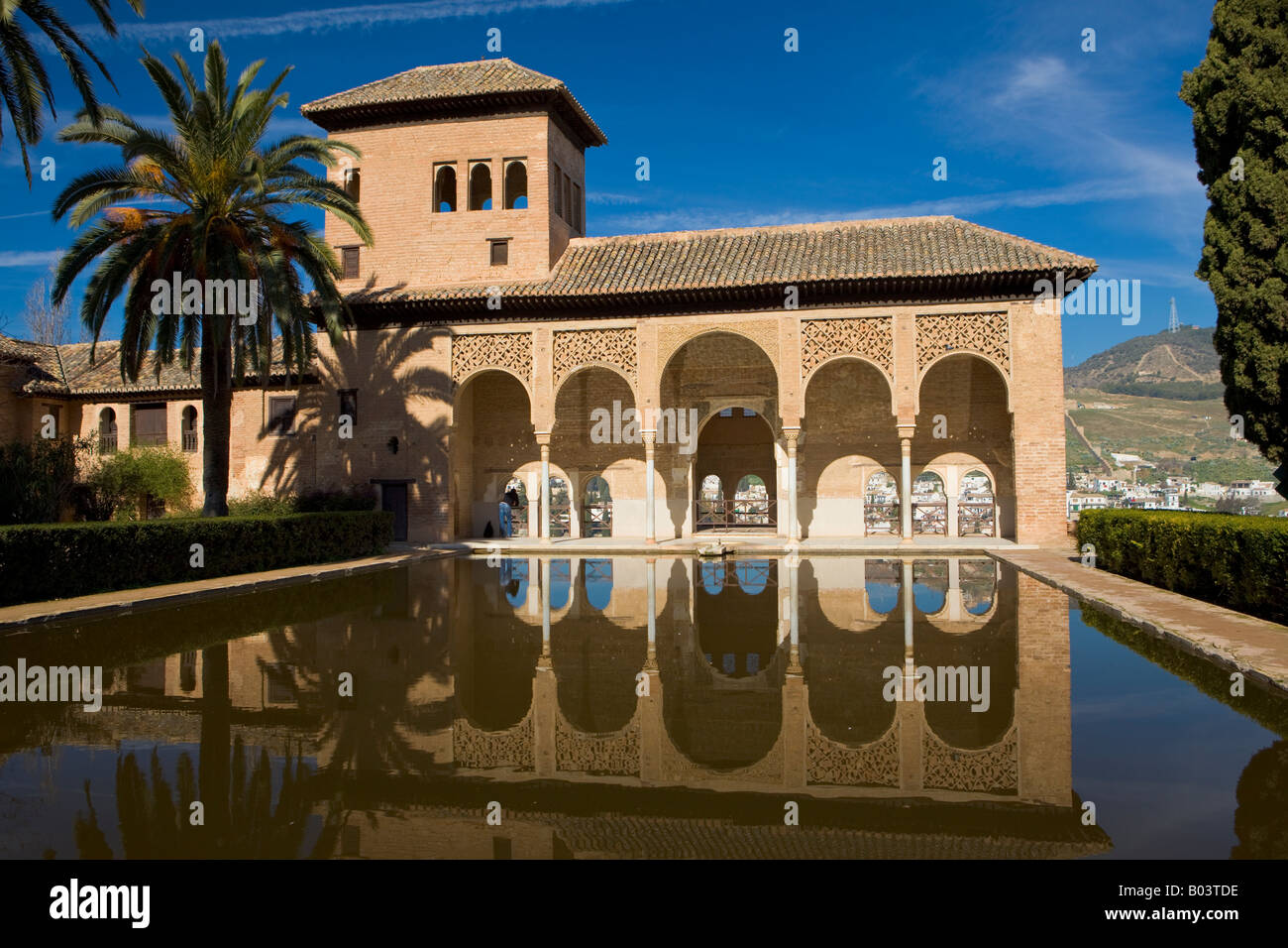 Pool at the Tower of the Ladies (Torres de las Damas) and partal, The ...