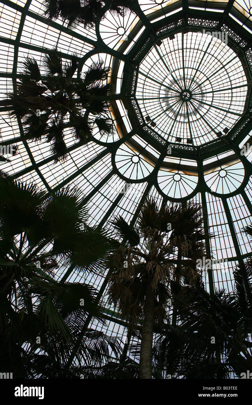 interior of Wintergarden, The Royal Glasshouses, Laeken, Brussels ...
