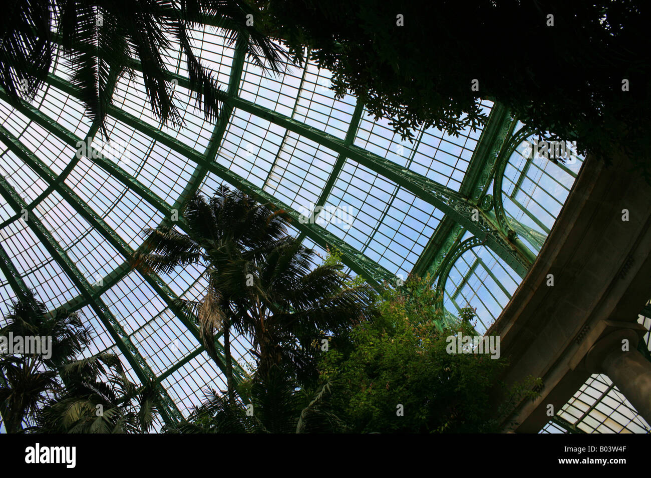interior of Wintergarden, The Royal Glasshouses, Laeken, Brussels ...