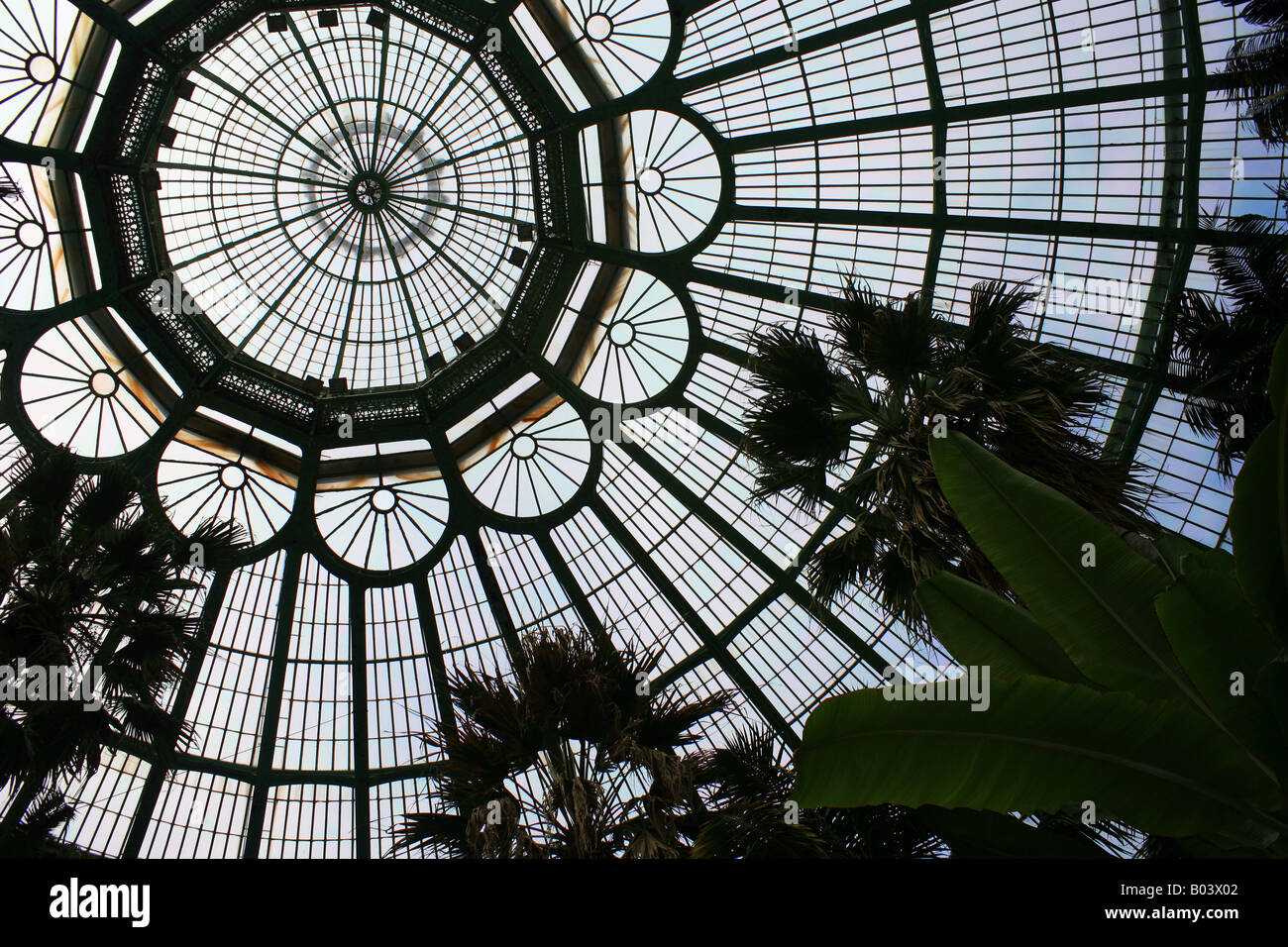 interior of Wintergarden, The Royal Glasshouses, Laeken, Brussels ...
