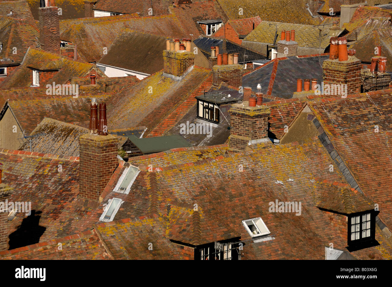 bird's eye view showing old roof top street scene old medieval ...