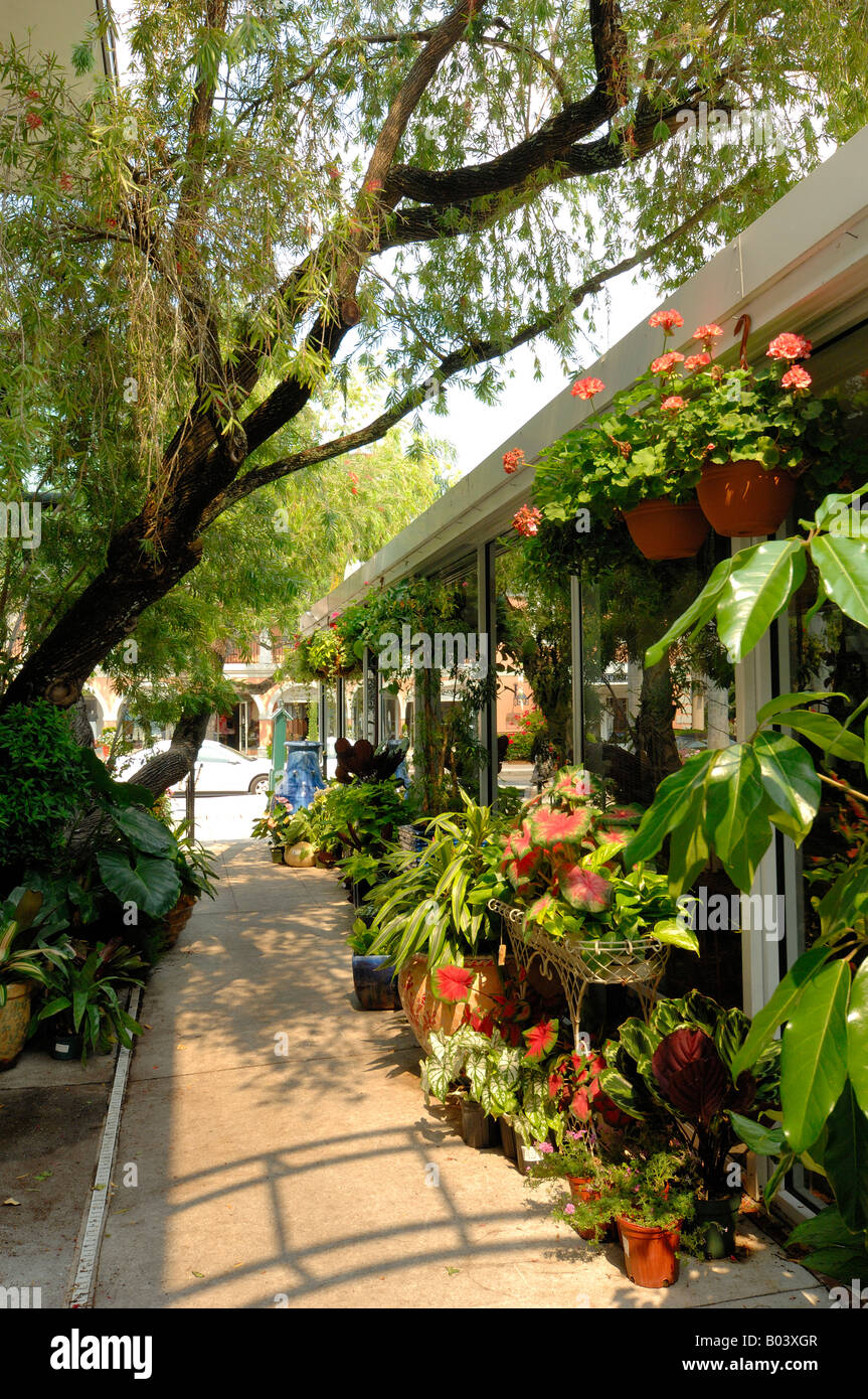 flower shop in secluded corner naples florida fl america usa Stock ...