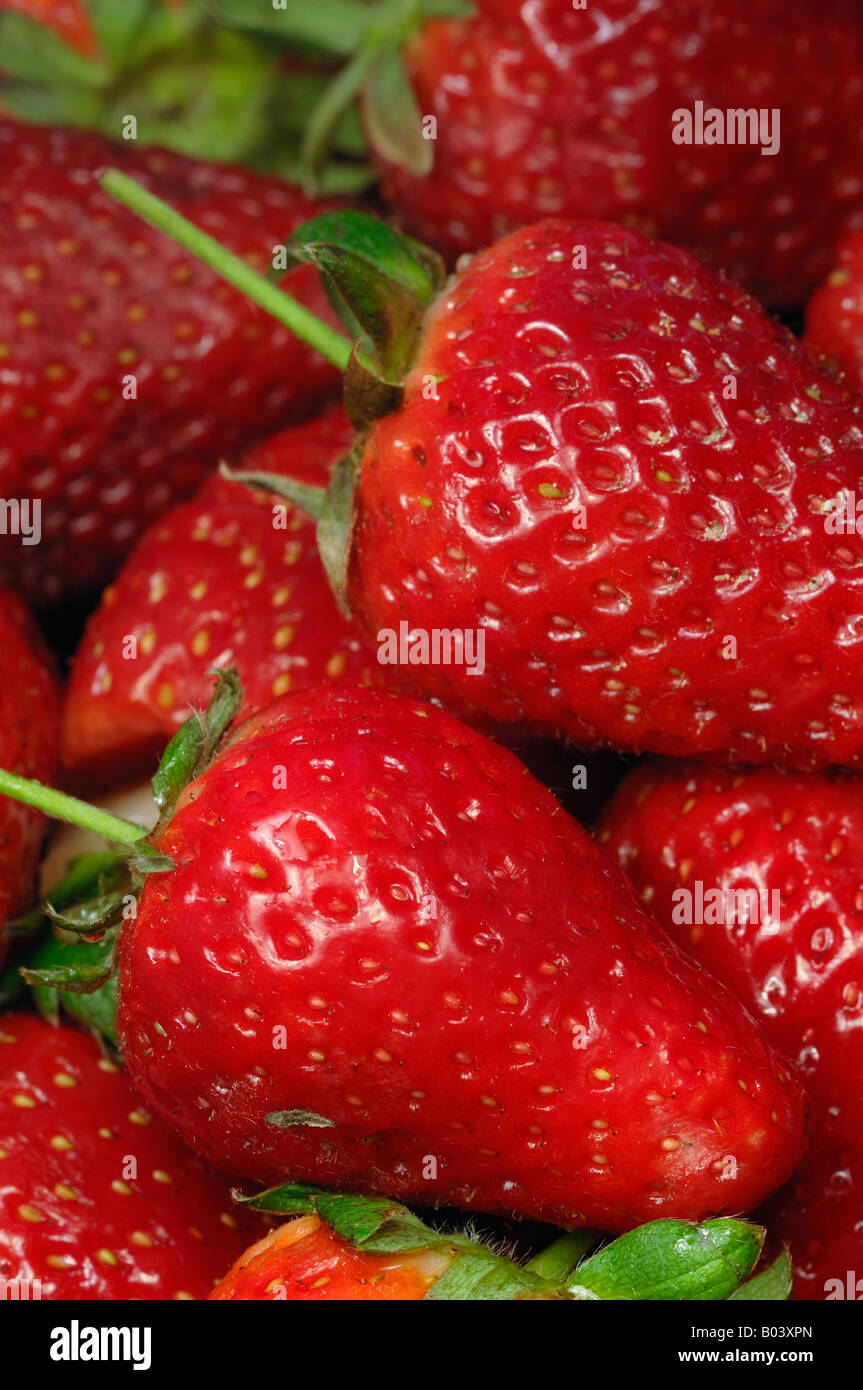 Strawberries kent hi-res stock photography and images - Alamy