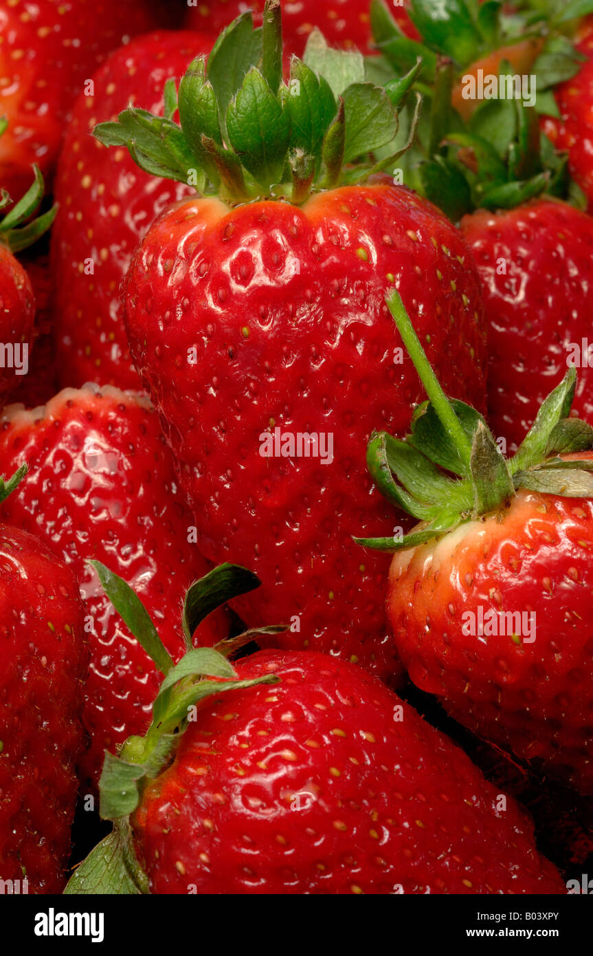 Kent strawberries hi-res stock photography and images - Alamy