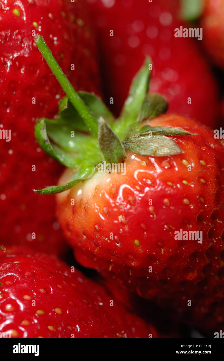 Strawberries kent hi-res stock photography and images - Alamy
