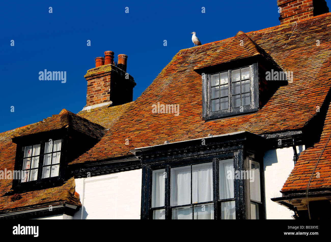 street scene showing old medieval buildings in historic citidel in five ...