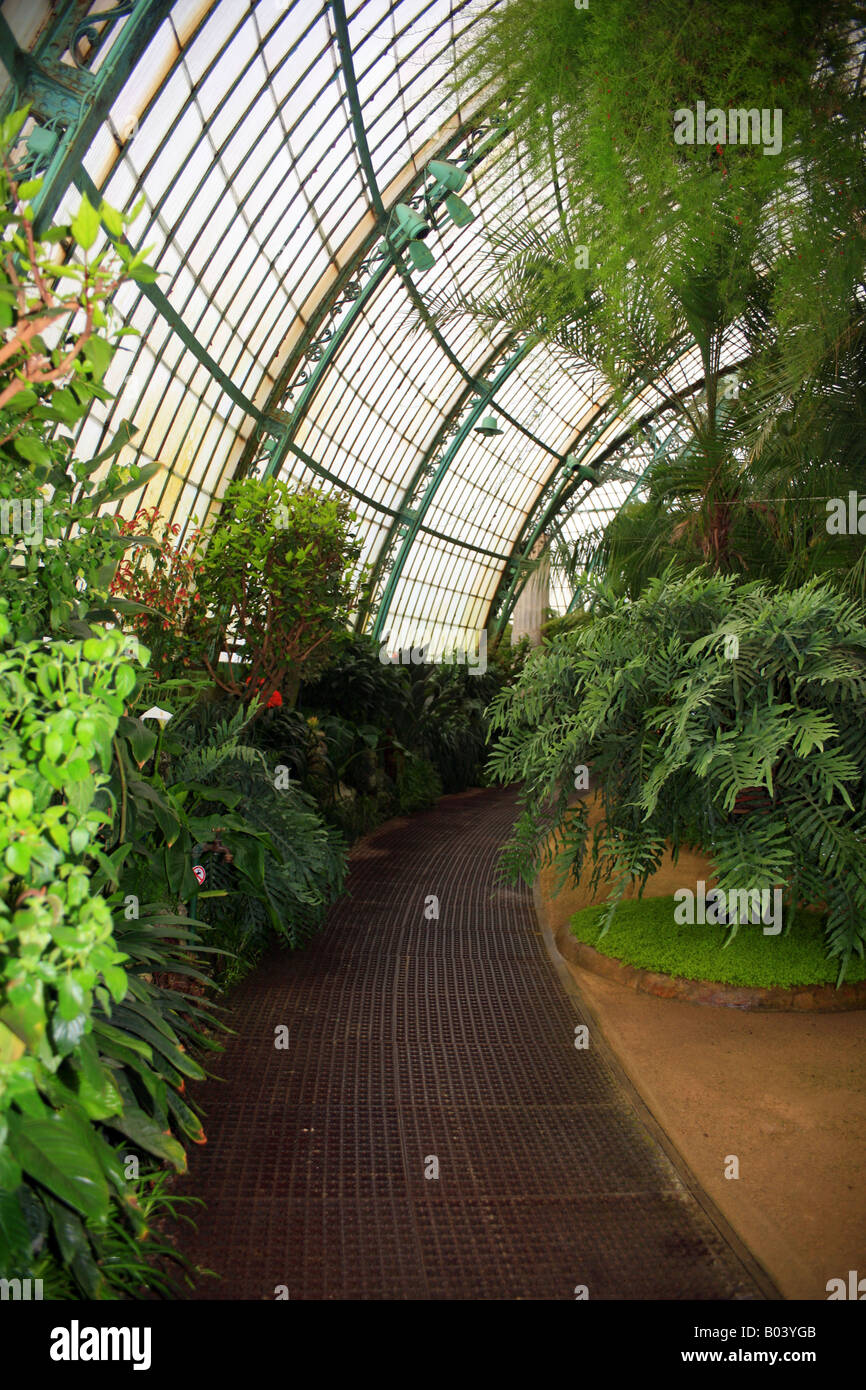 interior of Wintergarden, The Royal Glasshouses, Laeken, Brussels ...