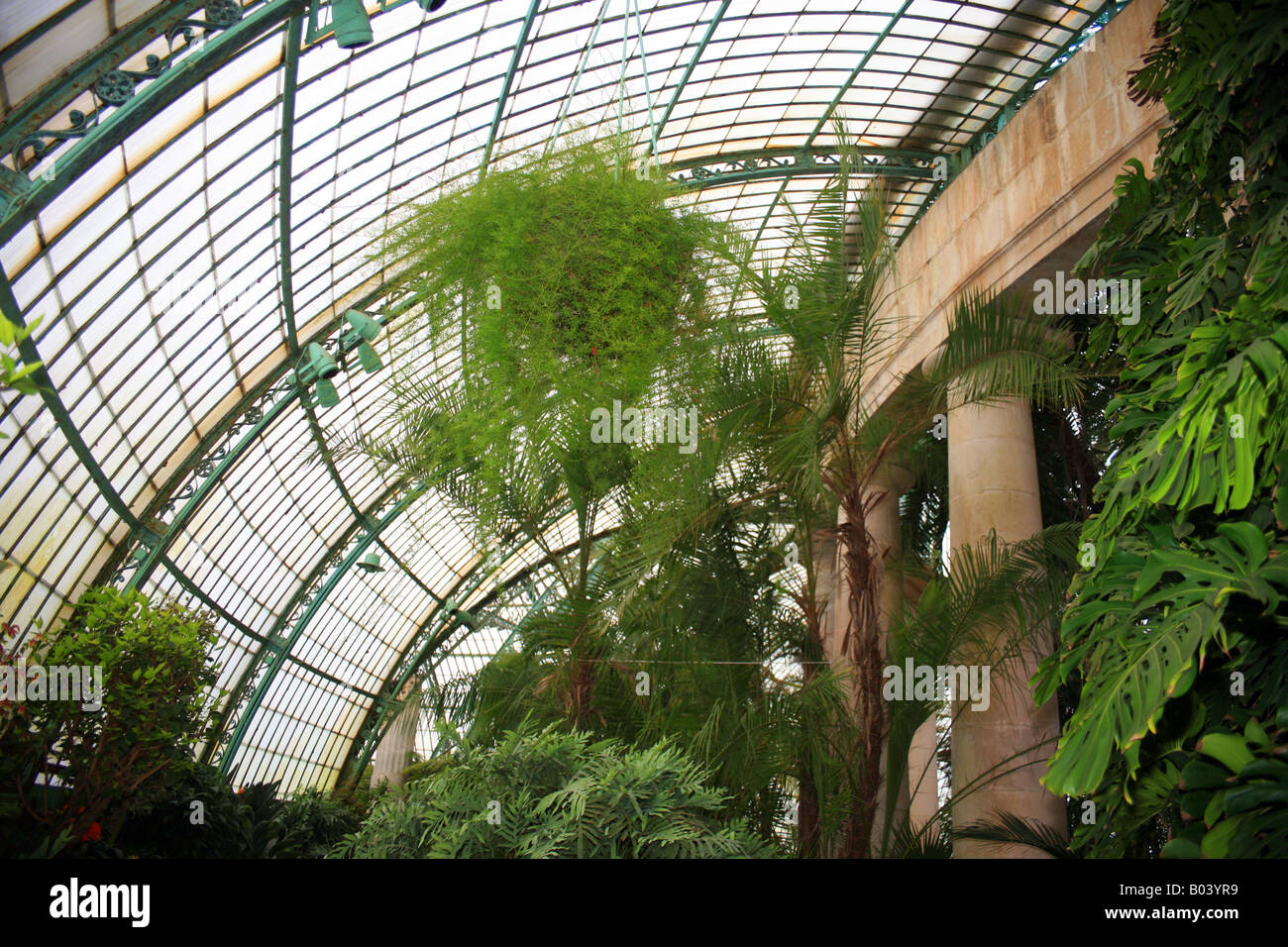 interior of Wintergarden, The Royal Glasshouses, Laeken, Brussels ...