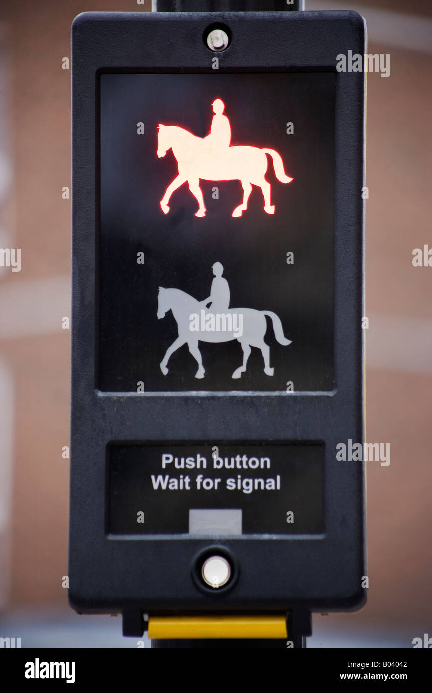 Horse Riding Road Traffic Crossing Signals Wimbledon Village London ...