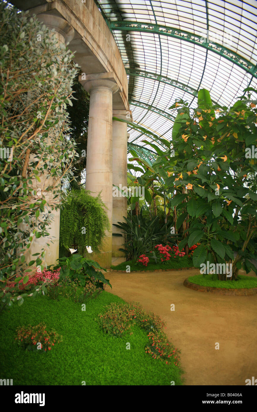 interior of Wintergarden, The Royal Glasshouses, Laeken, Brussels ...