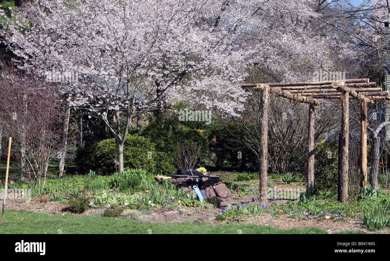 Early spring in the garden Stock Photo - Alamy