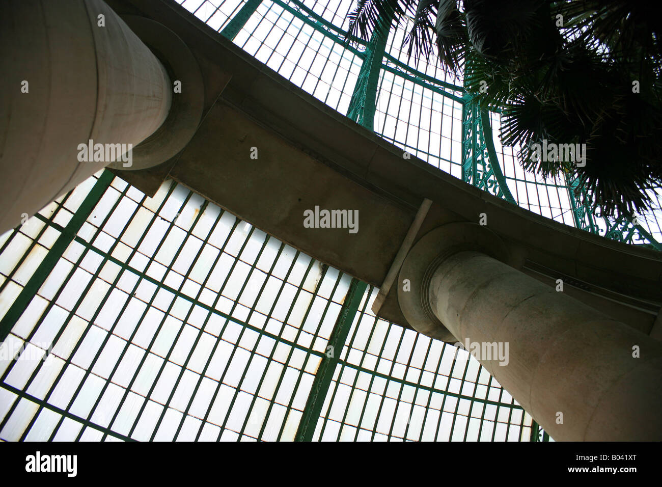 interior of Wintergarden, The Royal Glasshouses, Laeken, Brussels ...