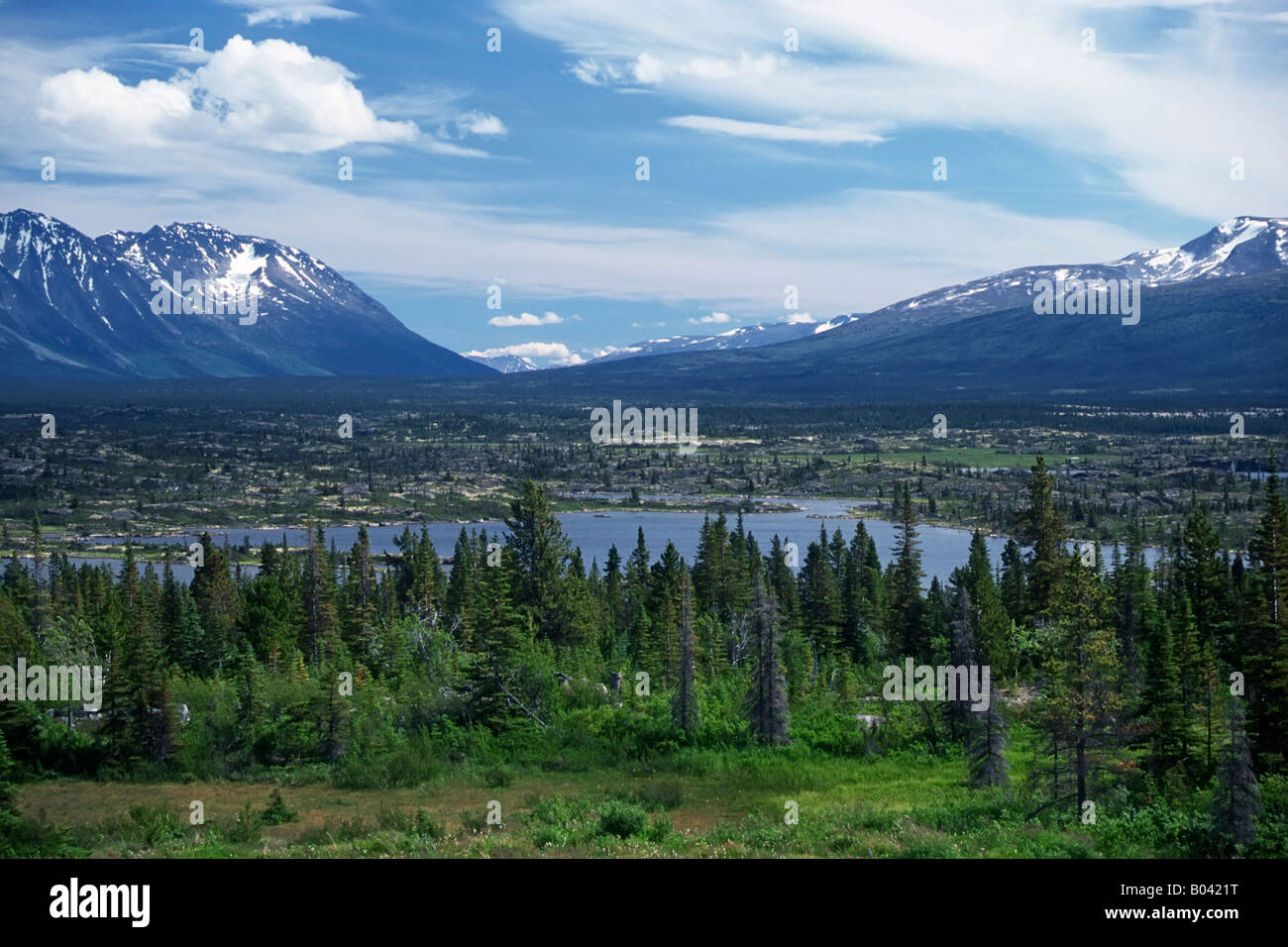 Tutshi lake hi-res stock photography and images - Alamy