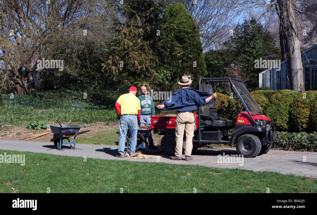 Three men getting ready to spread some mulch Stock Photo - Alamy