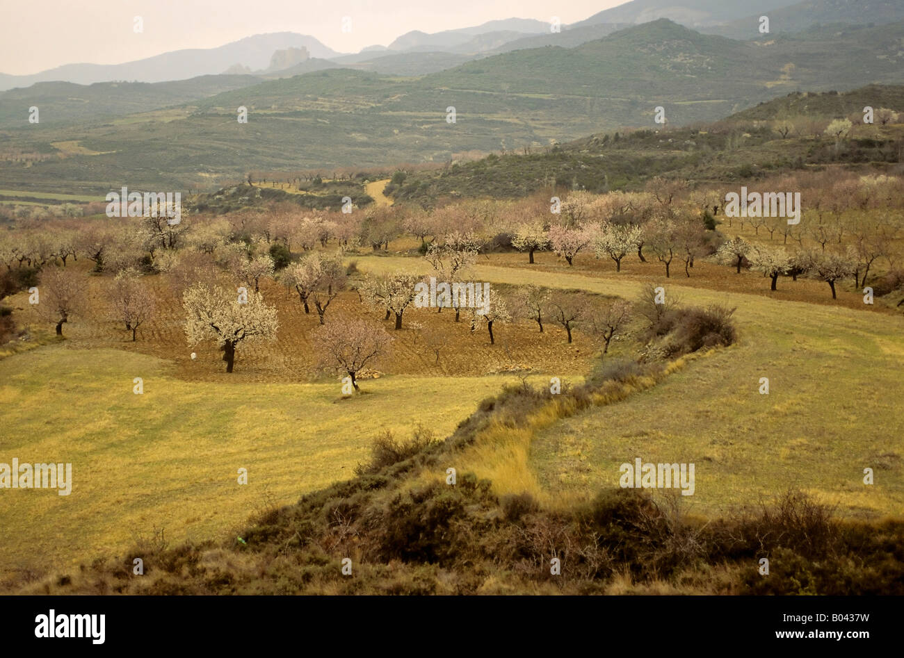 Kargheit hi-res stock photography and images - Alamy