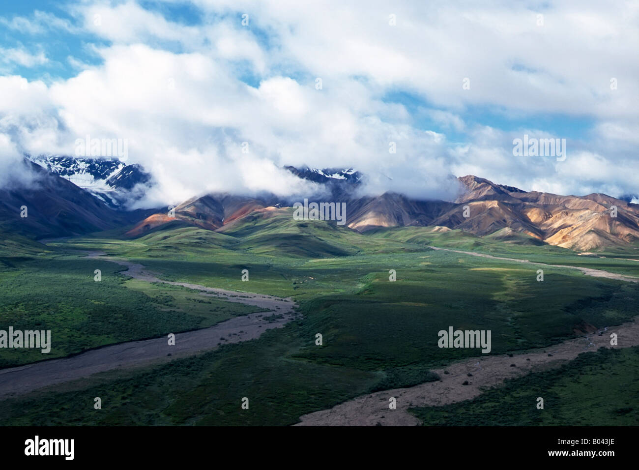 Denali Nationalpark High Resolution Stock Photography and Images - Alamy