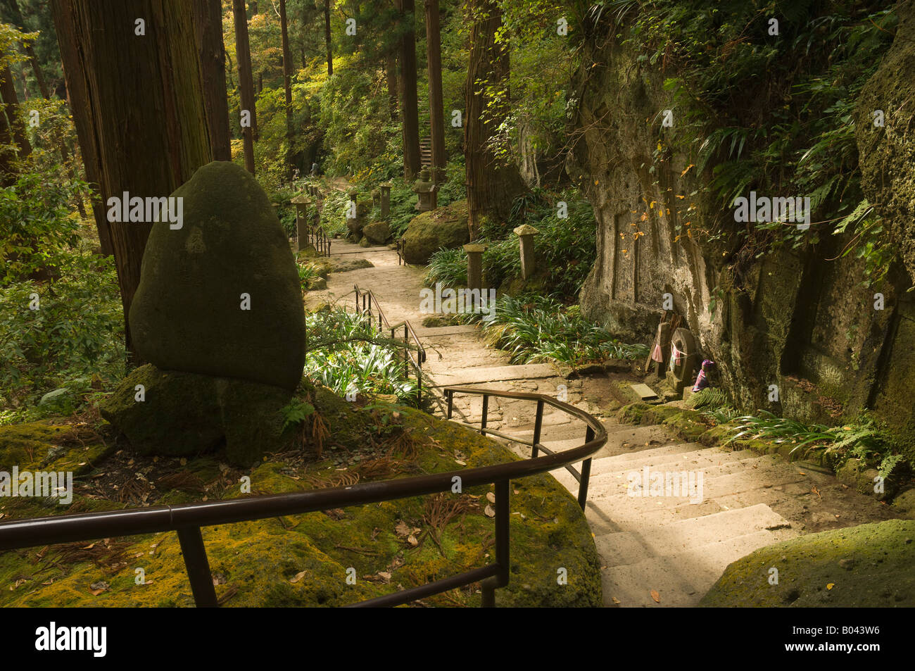 Steps in Forest, Honshu, Japan Stock Photo - Alamy