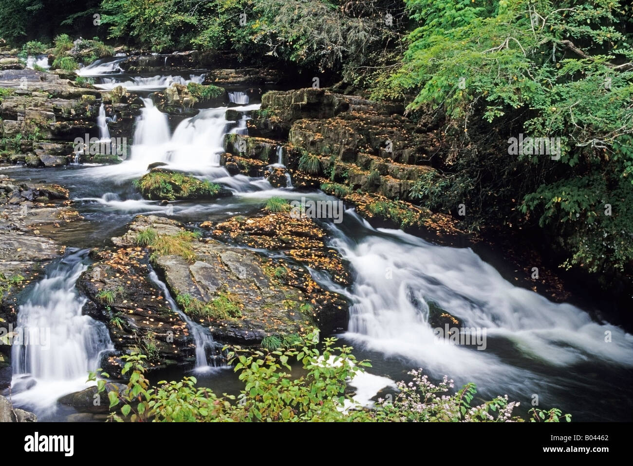 Closeup view waterfall in forest hi-res stock photography and images ...