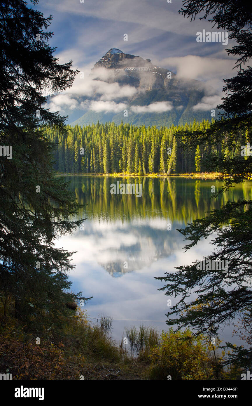 Canada Water Pond High Resolution Stock Photography and Images - Alamy