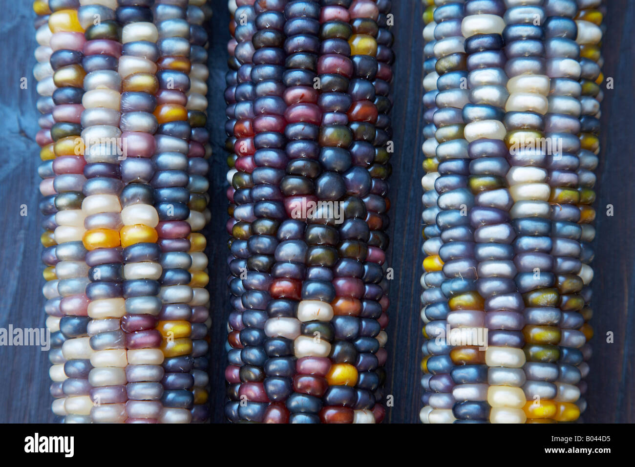 Dried corn detailed close hi-res stock photography and images - Alamy