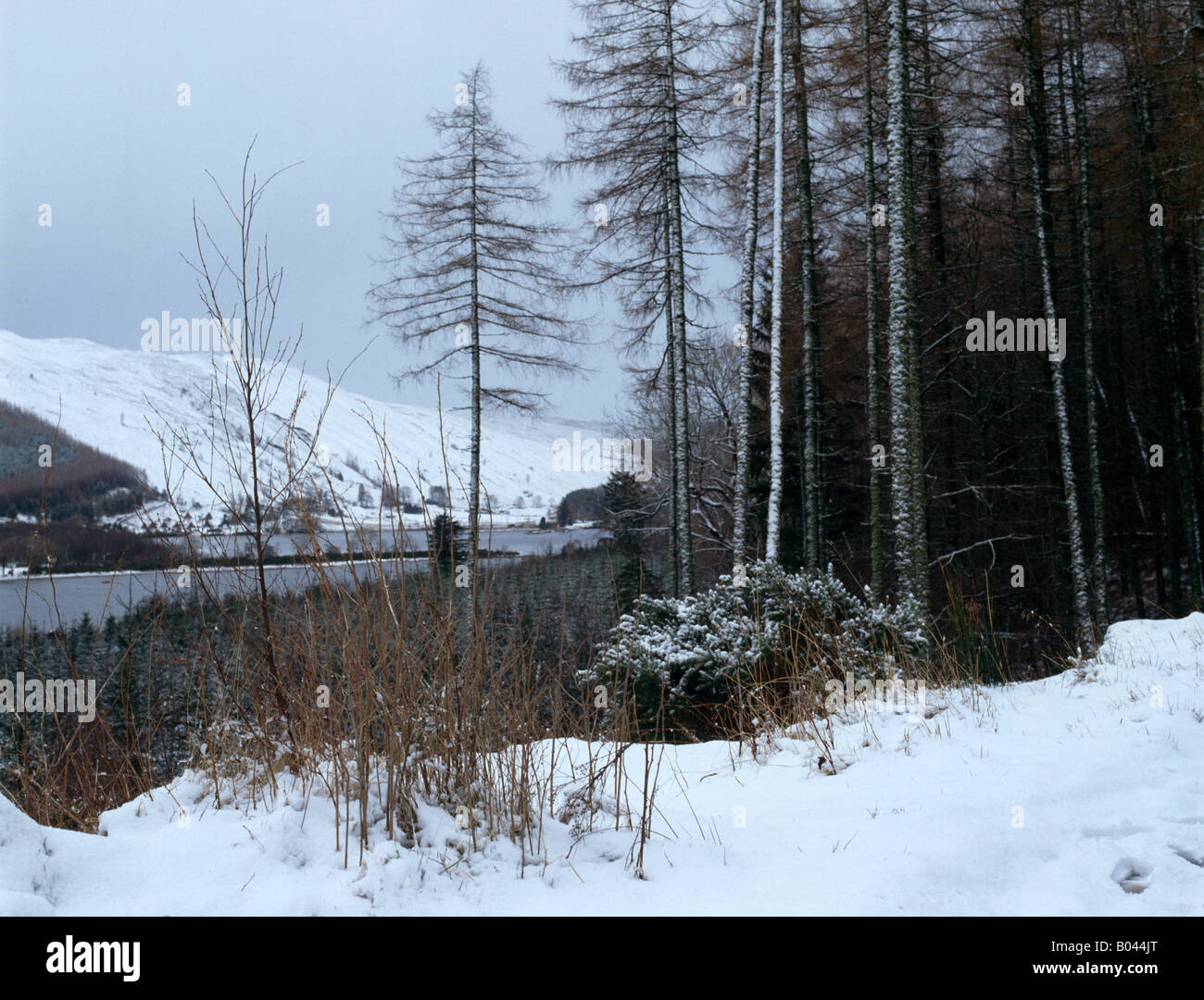 Scotland The Great Glen Loch Lochy Stock Photo - Alamy