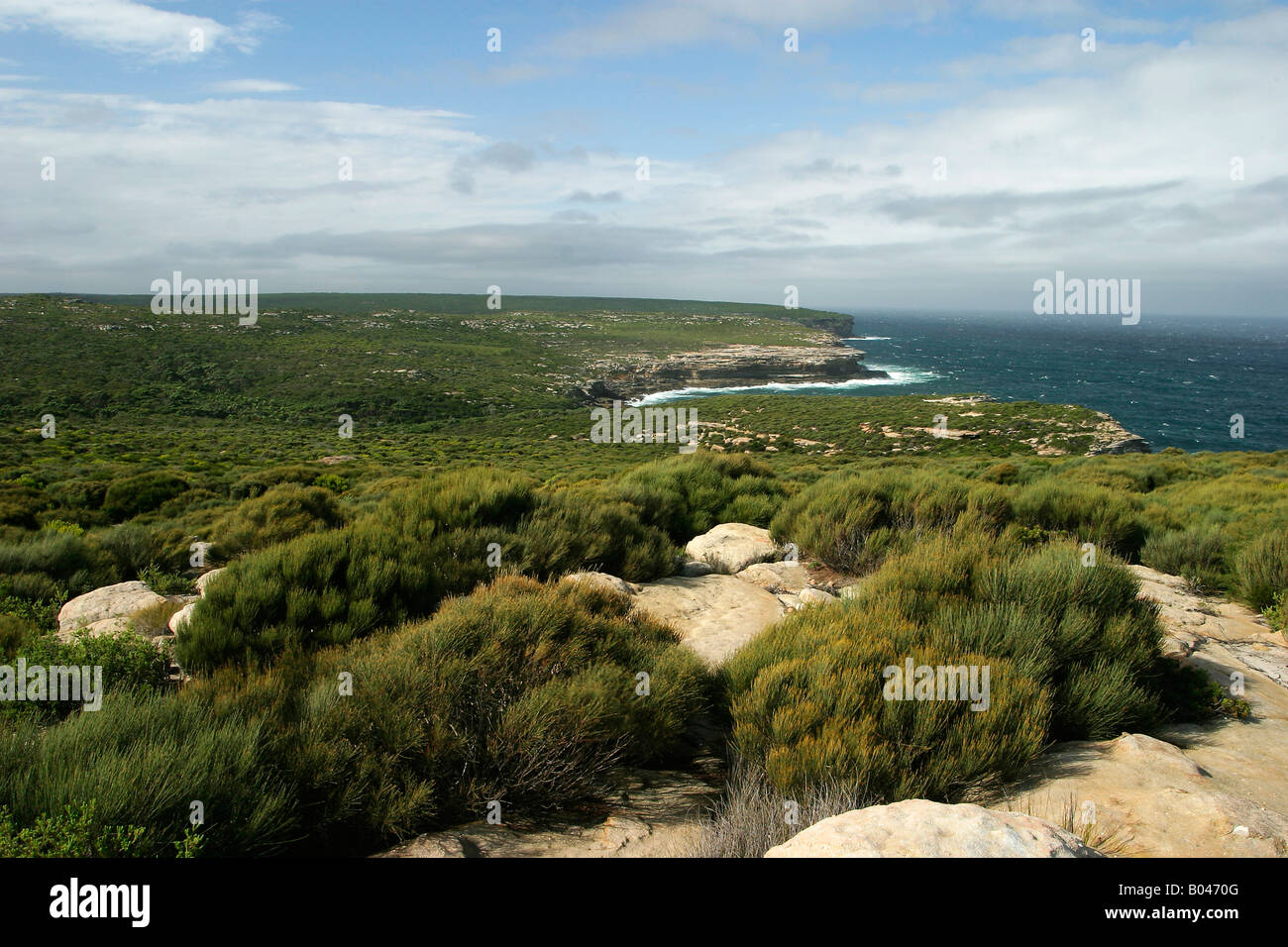 royal national park australia australien Stock Photo - Alamy