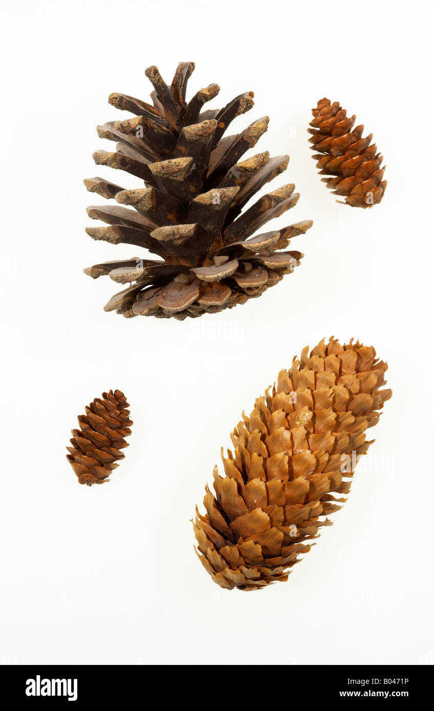 4 cones four cones hi-res stock photography and images - Alamy