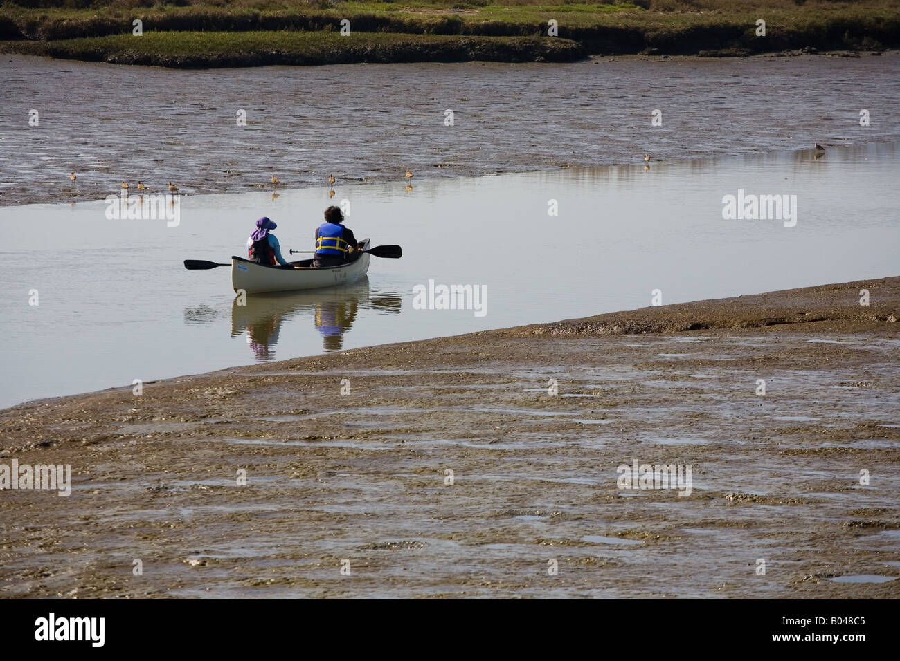 Canoeing activity hi-res stock photography and images - Alamy