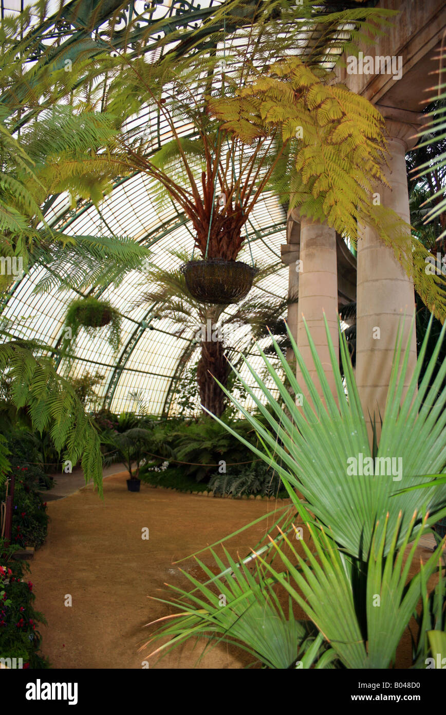 interior of Wintergarden, The Royal Glasshouses, Laeken, Brussels ...
