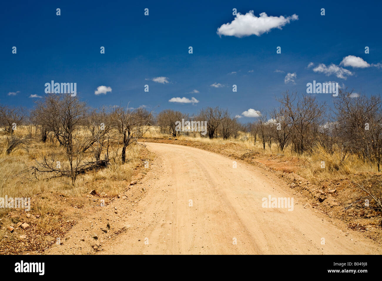 Ruaha hi-res stock photography and images - Alamy