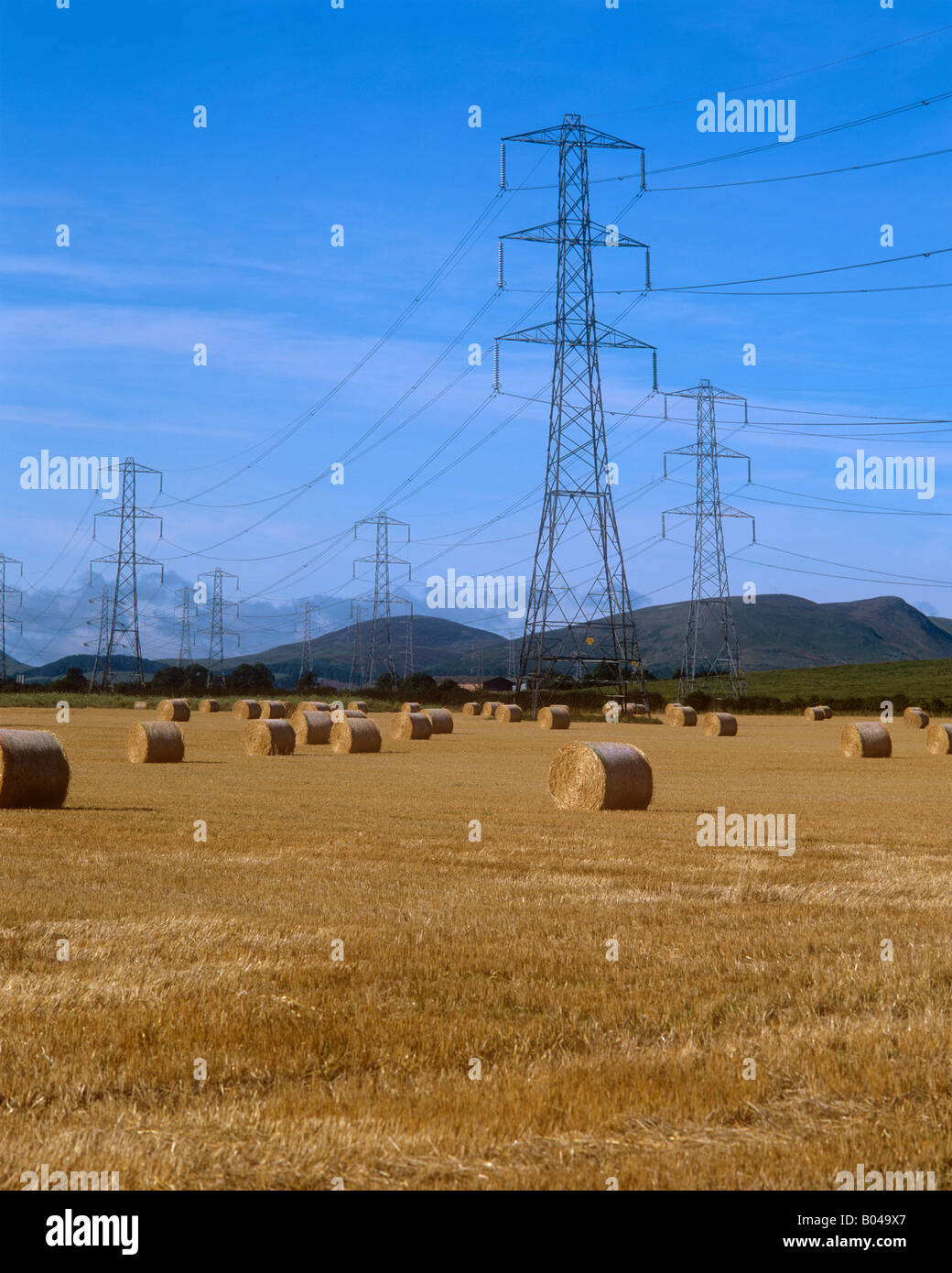 Field and electrical towers Stock Photo - Alamy