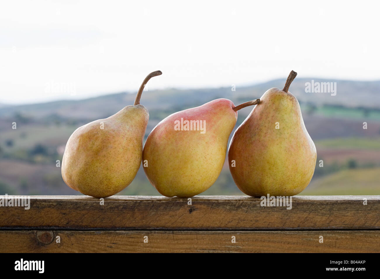 Culture pears hi-res stock photography and images - Alamy