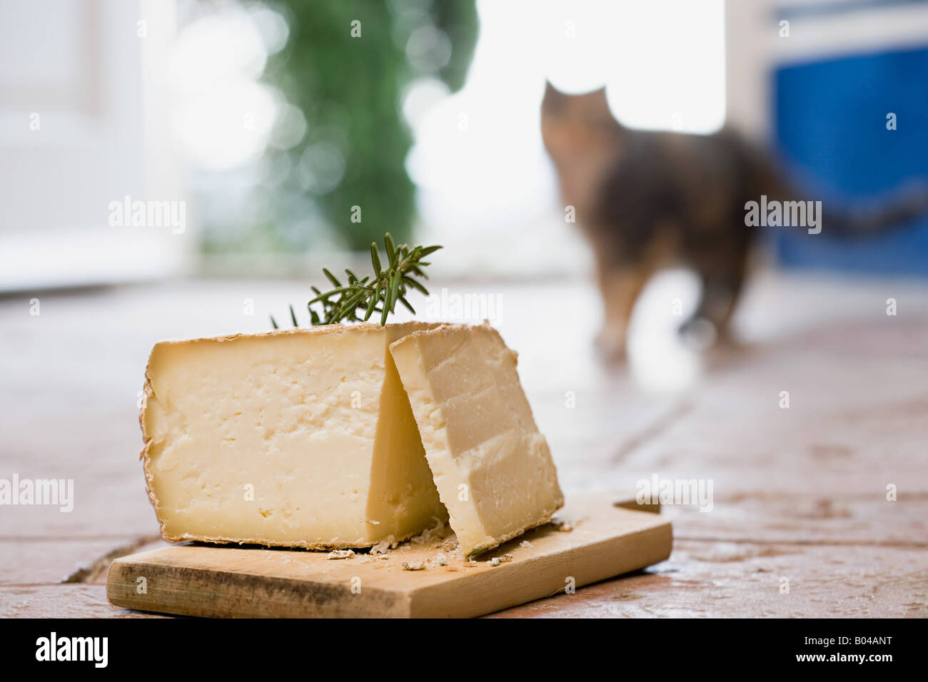 Cheese segment hi-res stock photography and images - Alamy