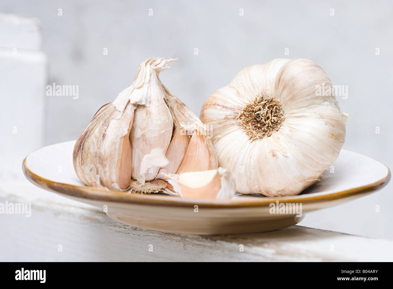 Garlic still life hi-res stock photography and images - Alamy