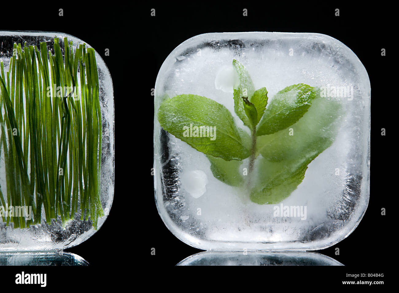 Frozen herbs hi-res stock photography and images - Alamy